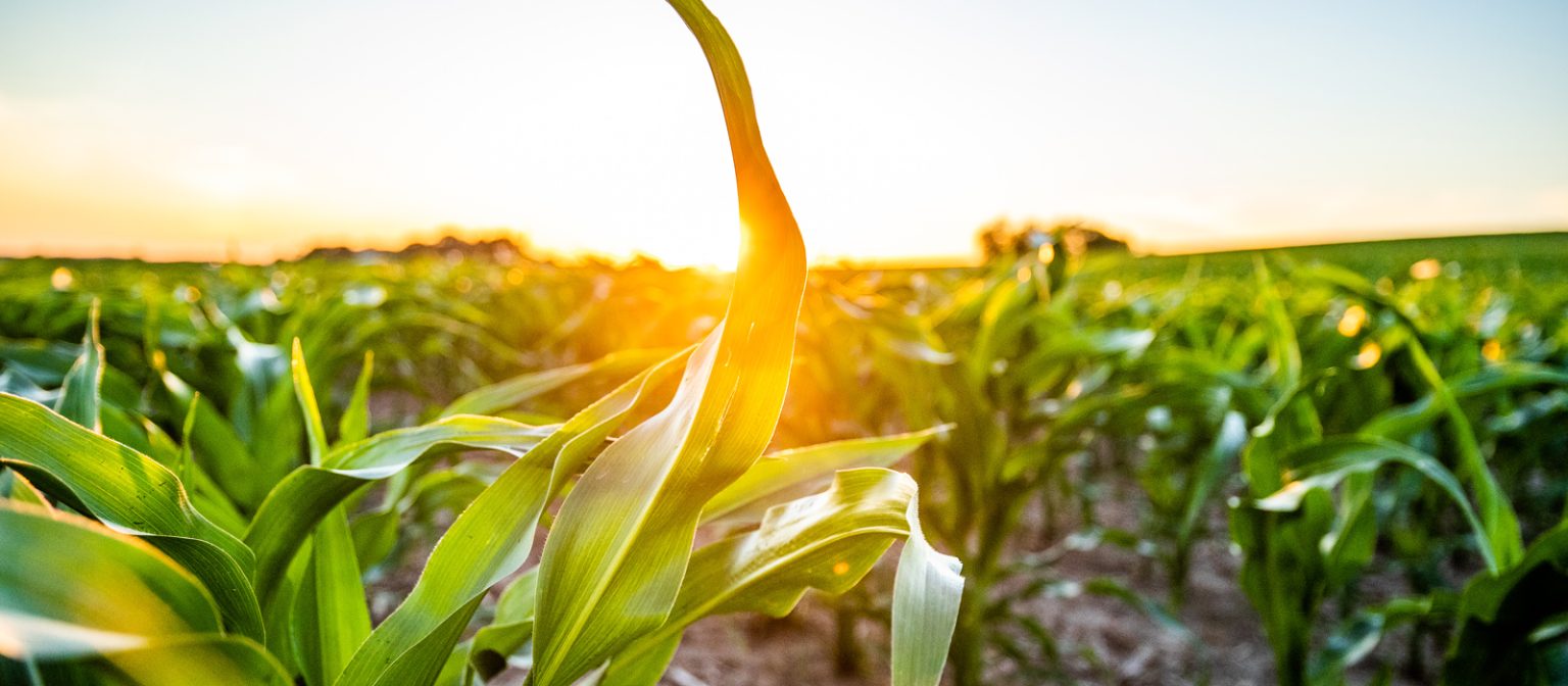 Agronomy team and locations - CHS Herman